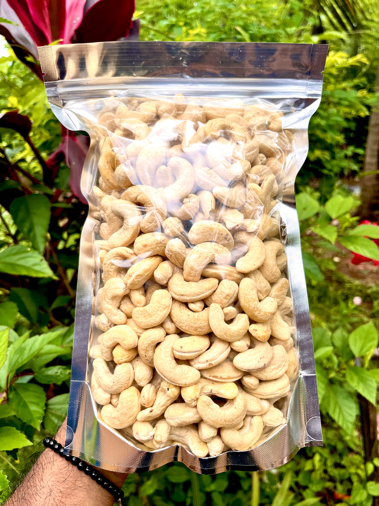 Kajja Foods | Premium Cashews